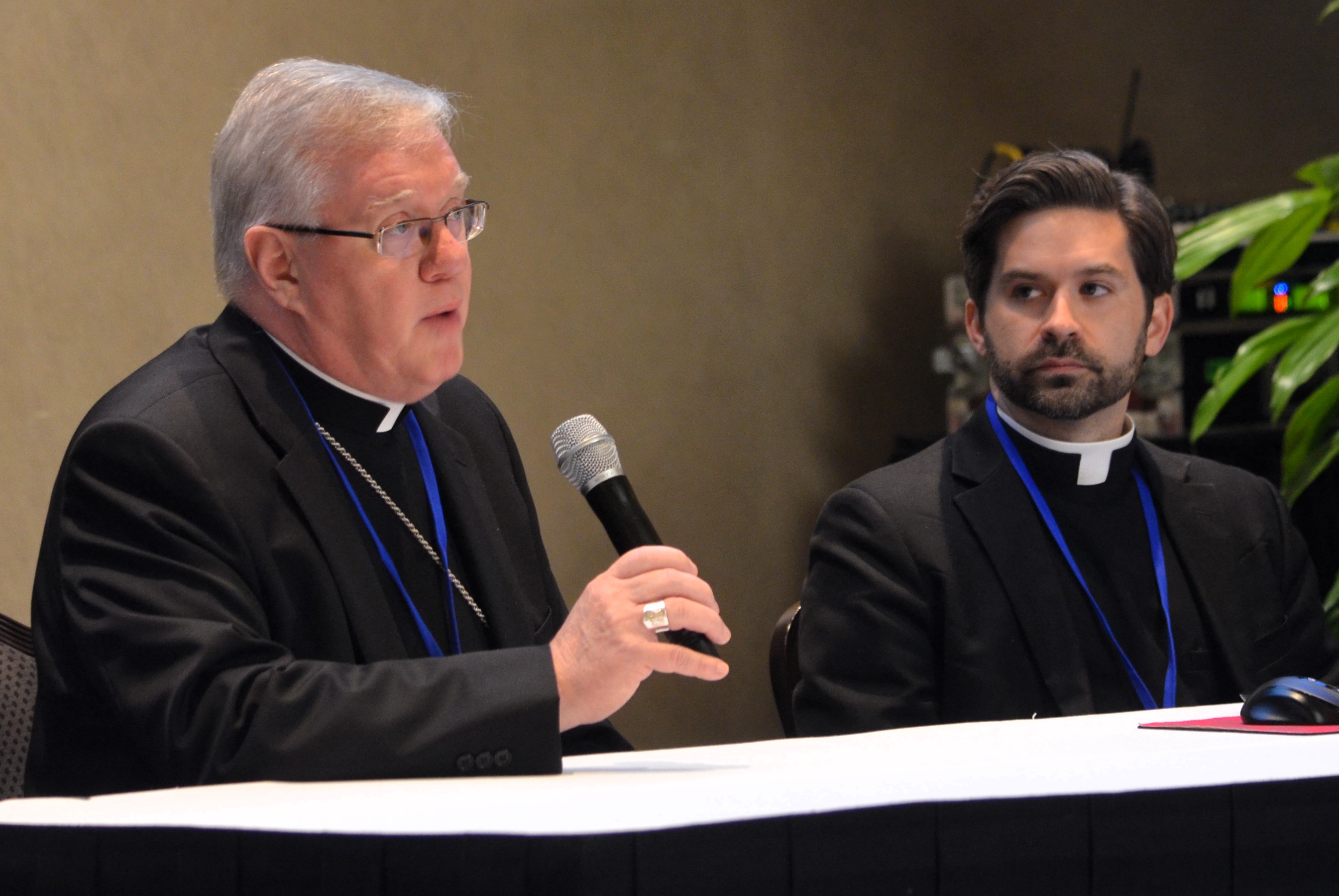 FDLC National Meeting 2023 (Virtual) – FDLC – Federation of Diocesan ...