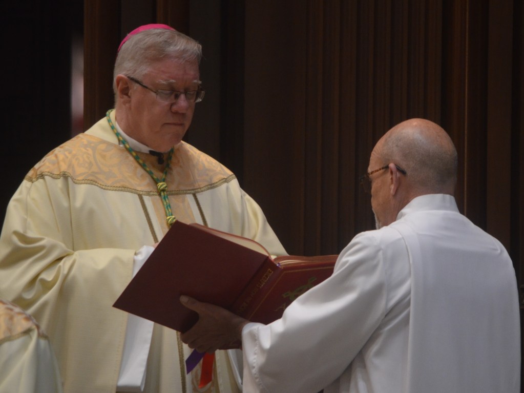 FDLC National Meeting 2023 (Virtual) – FDLC – Federation of Diocesan ...